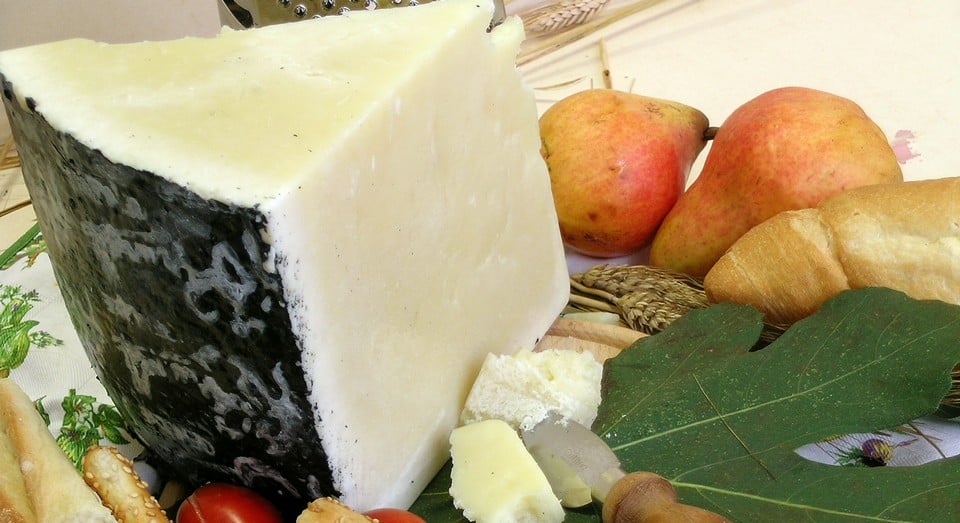 Pecorino's Journey: An All-You-Need-To-Know Guide
