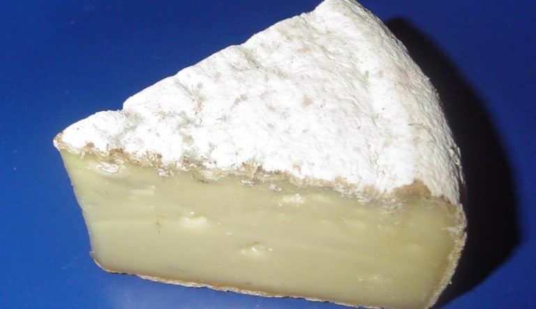 Pecorino's Journey: An All-You-Need-To-Know Guide