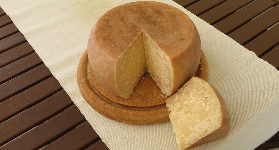 Casu Marzu - Rotten Cheese with Live Larvae from Sardinia